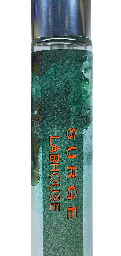Surge by LabHouse Perfume » Reviews & Perfume Facts