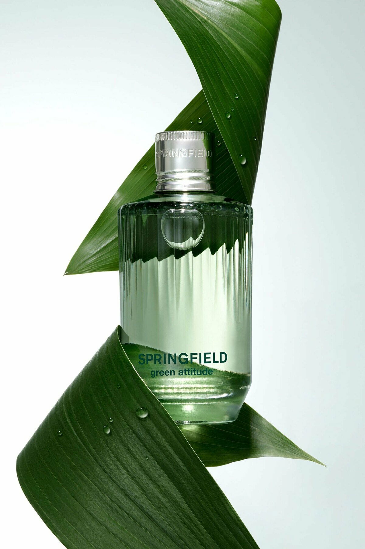 Green Attitude by Springfield » Reviews & Perfume Facts