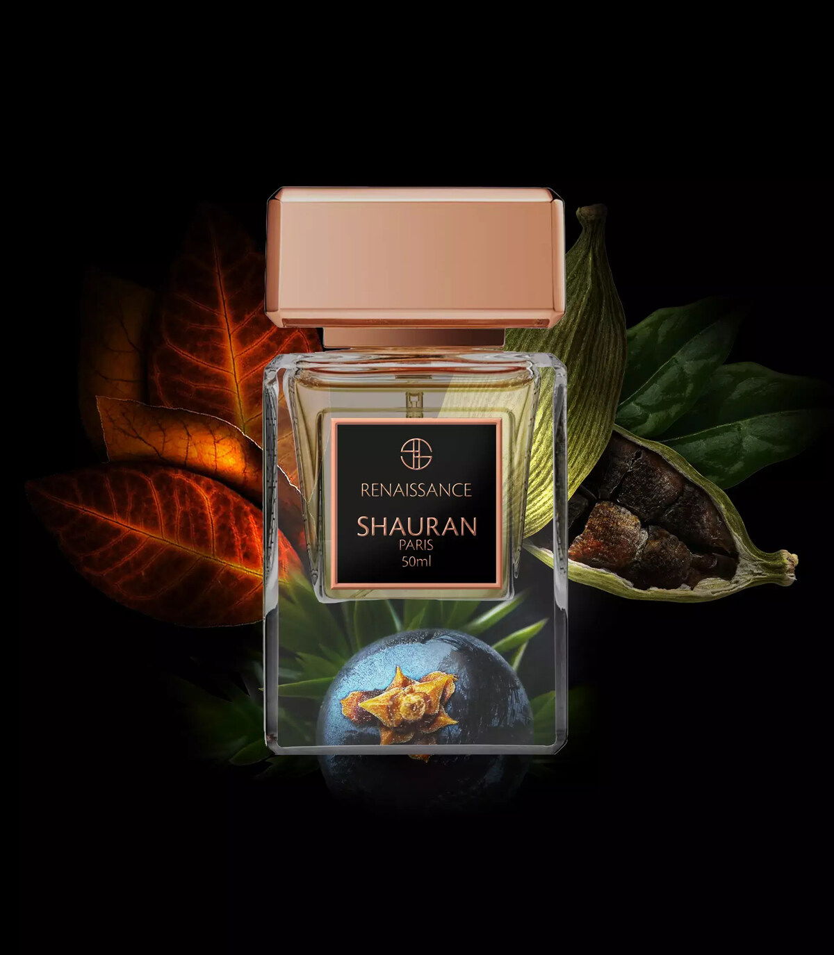 Renaissance von Shauran » Meinungen & Duftbeschreibung