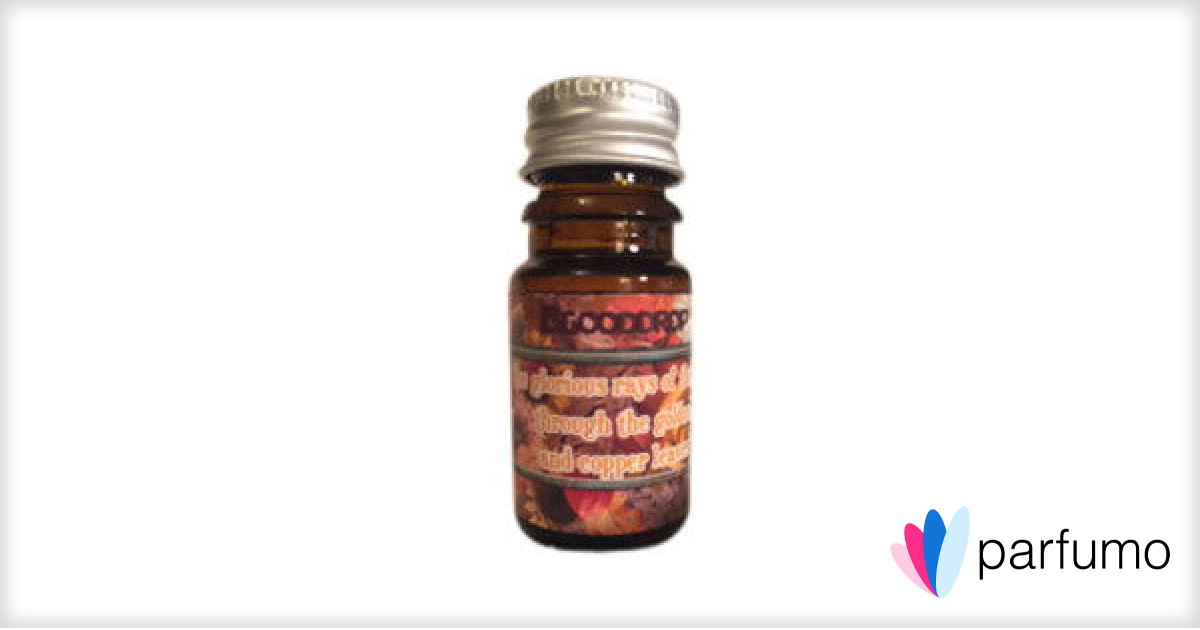 The Glorious Rays of the Sun Through the Gold and Copper Leaves by ...