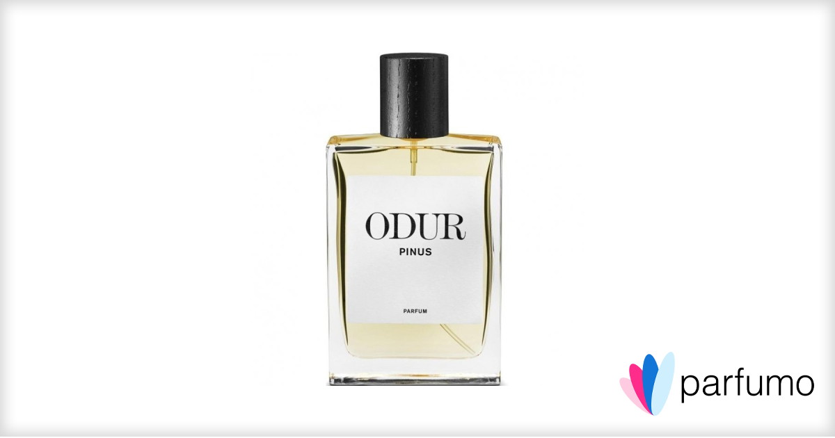 Pinus von Odur » Meinungen & Duftbeschreibung