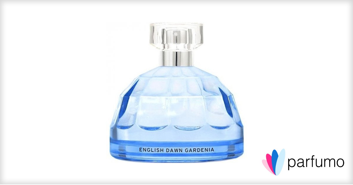 English Dawn Gardenia / English Dawn White Gardenia / Gardenia Blanc d ...