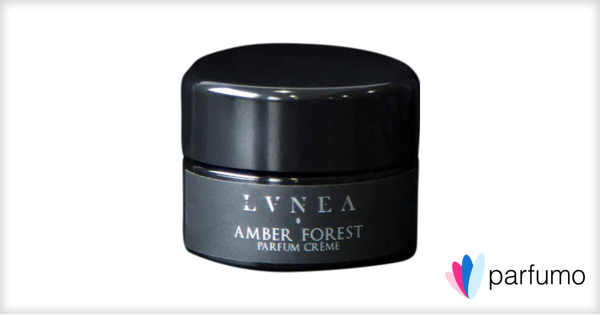 Amber Forest 2024 by Lvnea » Reviews & Perfume Facts