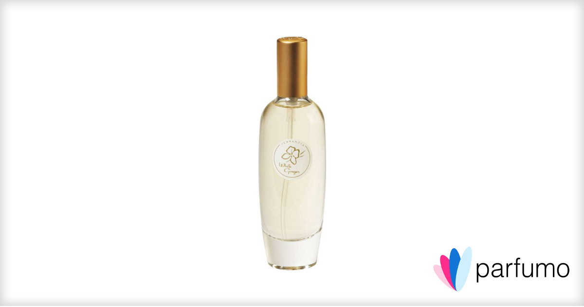 Island Collection - White Ginger by Terranova (Cologne Mist) & Perfume ...