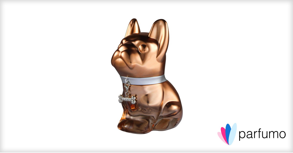 Apello Rosé Gold von Jean-Pierre Sand » Meinungen & Duftbeschreibung