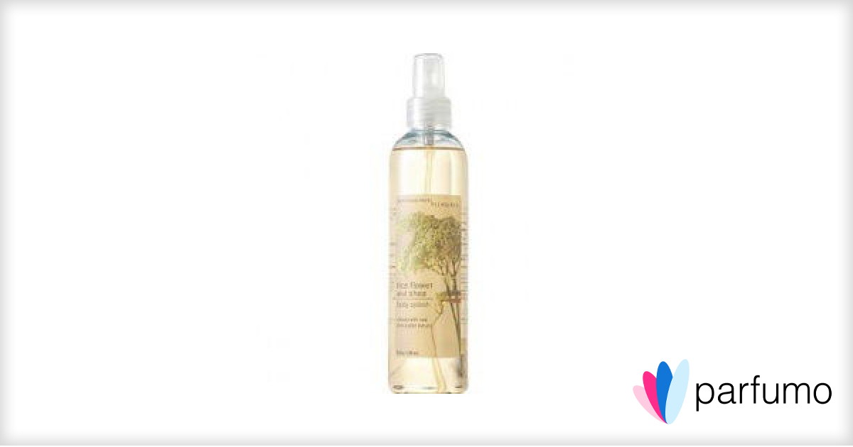 Rice Flower and Shea by Bath & Body Works » Reviews & Perfume Facts