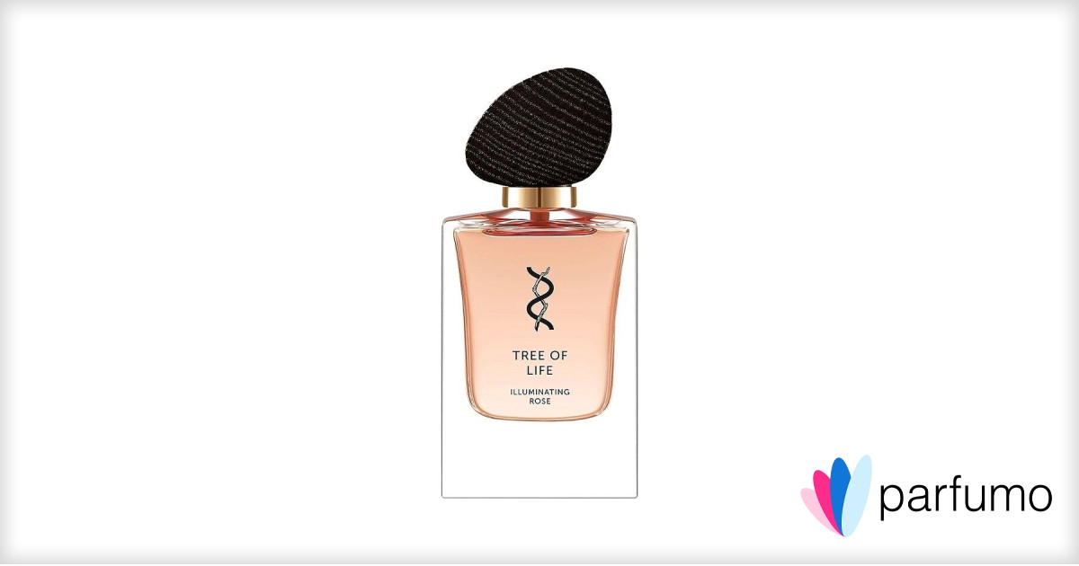 Illuminating Rose by Tree of Life » Reviews & Perfume Facts