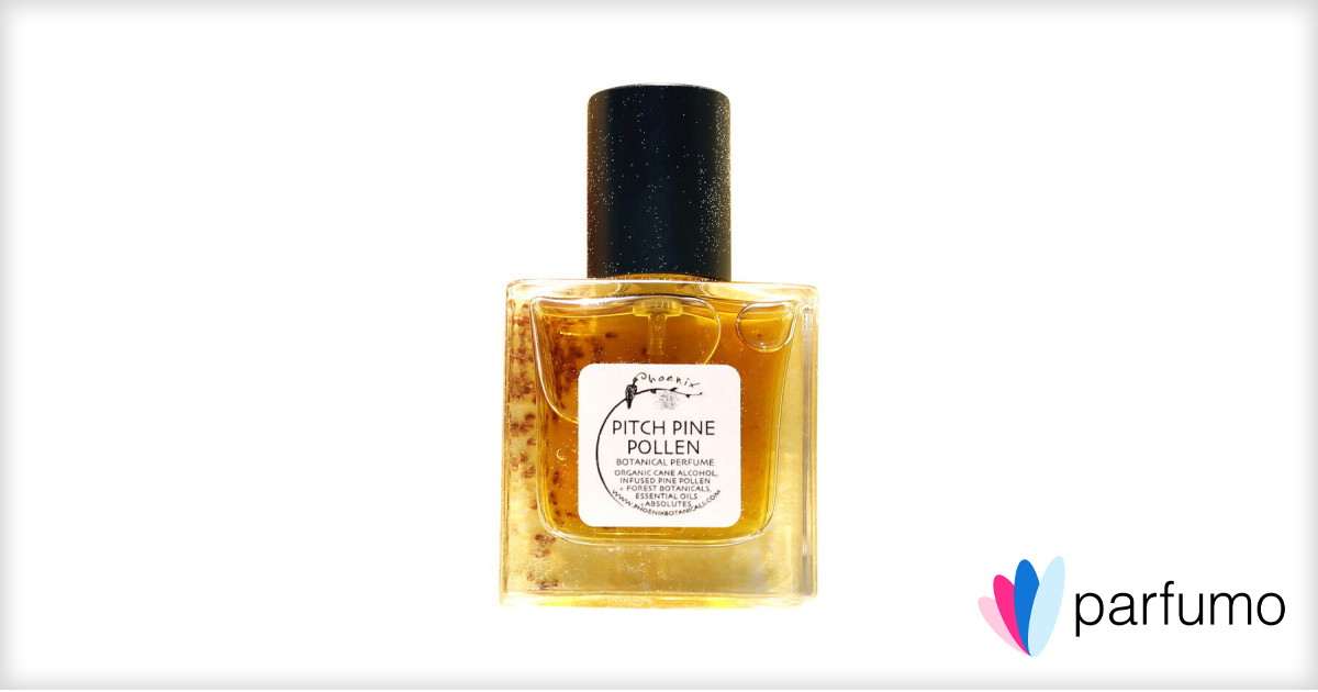 Pitch Pine Pollen von Phoenix Botanicals » Meinungen & Duftbeschreibung