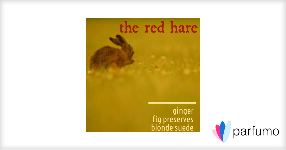The Red Hare von Stone & Wit » Meinungen & Duftbeschreibung