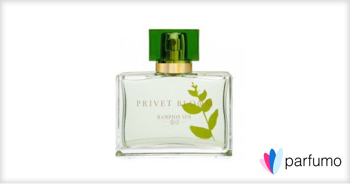 Privet Bloom by Hampton Sun » Reviews & Perfume Facts