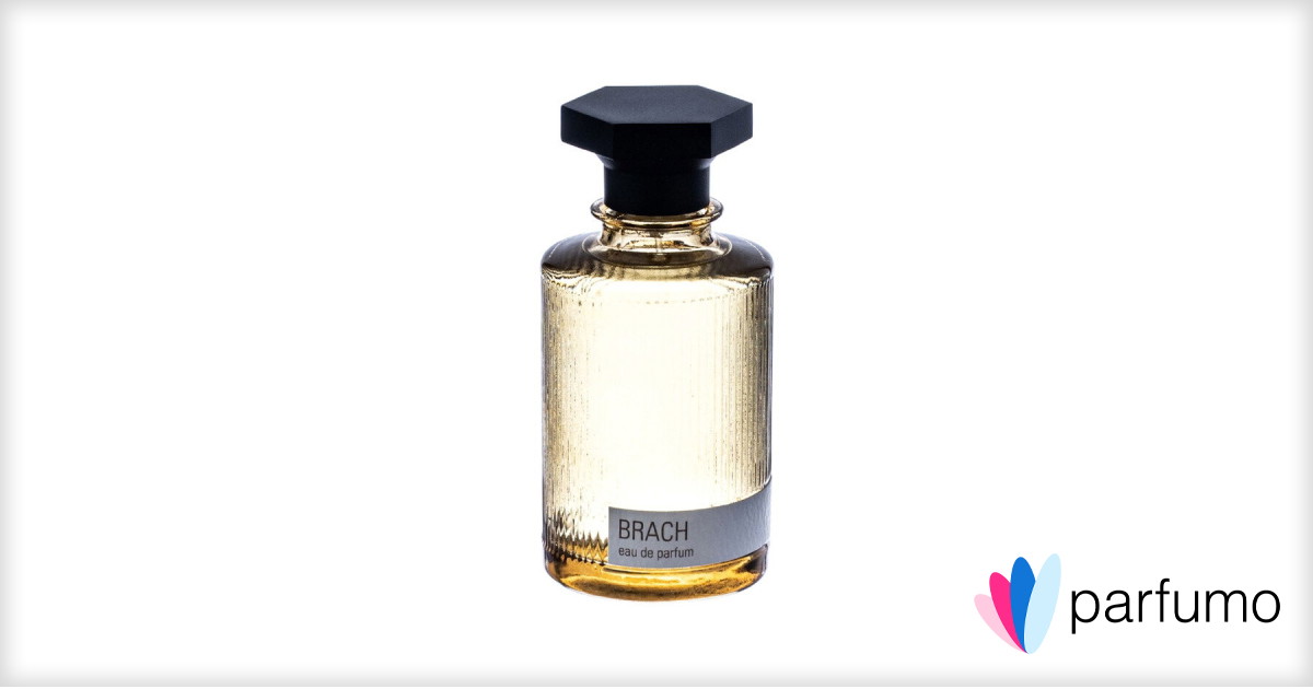 Brach by Evok » Reviews & Perfume Facts