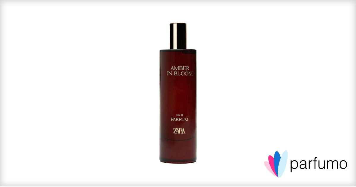 Amber in Bloom by Zara » Reviews & Perfume Facts
