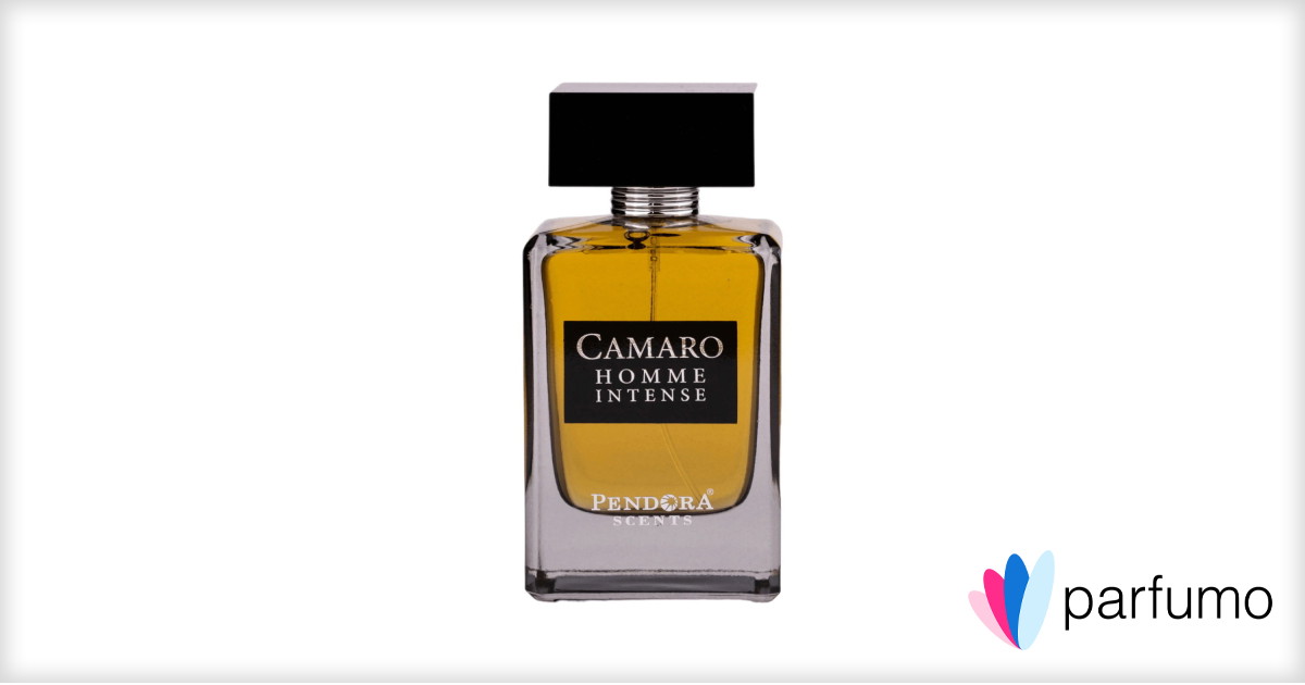 Camaro Homme Intense by Pendora Scents » Reviews & Perfume Facts