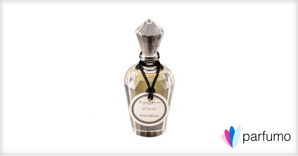 Attache by Signature Fragrances » Reviews & Perfume Facts
