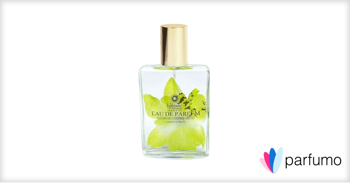 Soliflore - Mimosa by La Bastide des Arômes / Les Fleuris de Grasse ...