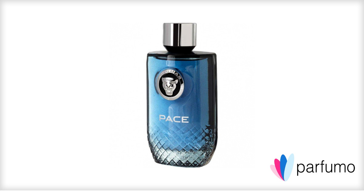 Pace von Jaguar » Meinungen & Duftbeschreibung