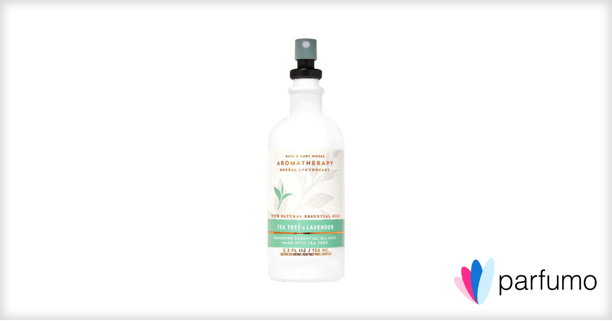 Tea Tree + Lavender by Bath & Body Works » Reviews & Perfume Facts