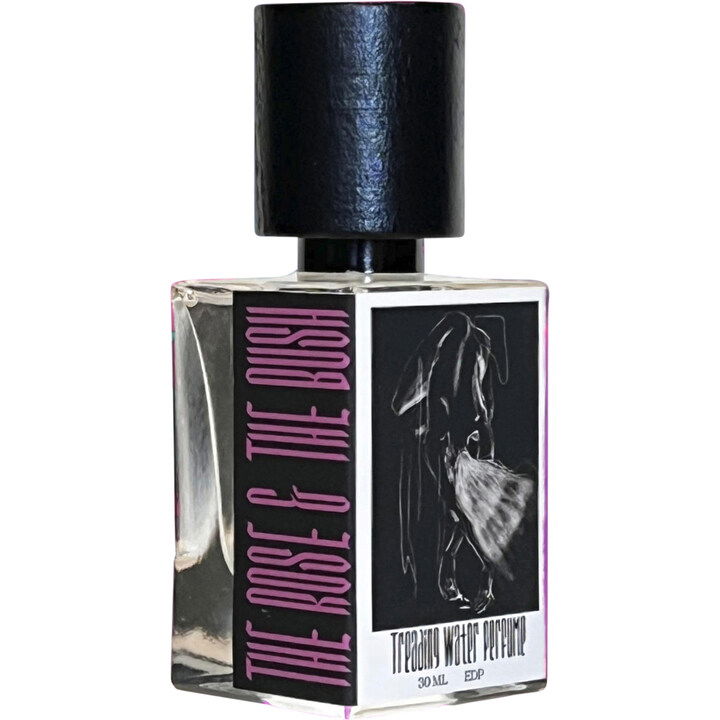 The Rose & The Bush by Treading Water Perfume » Reviews & Perfume Facts