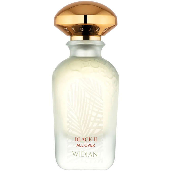 Black II by Widian (All Over Spray) » Reviews & Perfume Facts